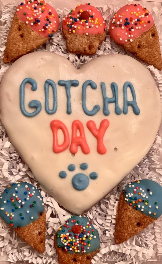 Gotcha Day Dog Treats Gift Box Pampered Paw Gifts Gotcha Day Dog Treats Gift Box Pampered Paw Gifts