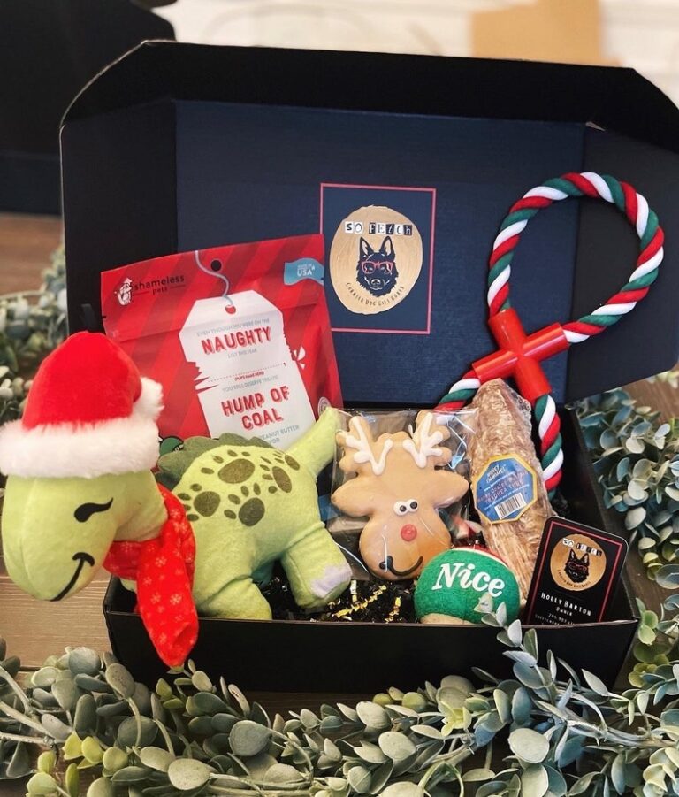 So Fetch Luxury Christmas Dog Gift Box » Pampered Paw Gifts