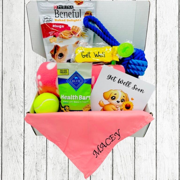 Dog Get Well Care Package For Dogs » Pampered Paw Gifts