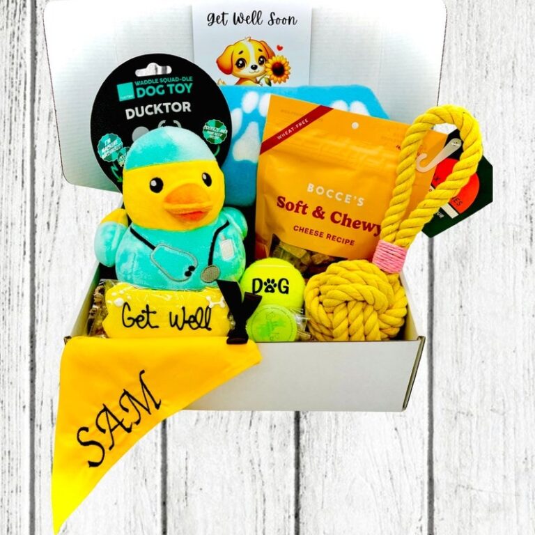 Dog Get Well Care Package For Dogs » Pampered Paw Gifts