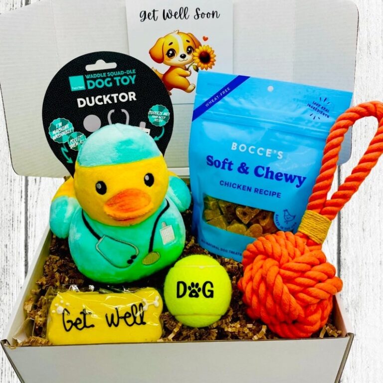 Dog Get Well Care Package For Dogs » Pampered Paw Gifts