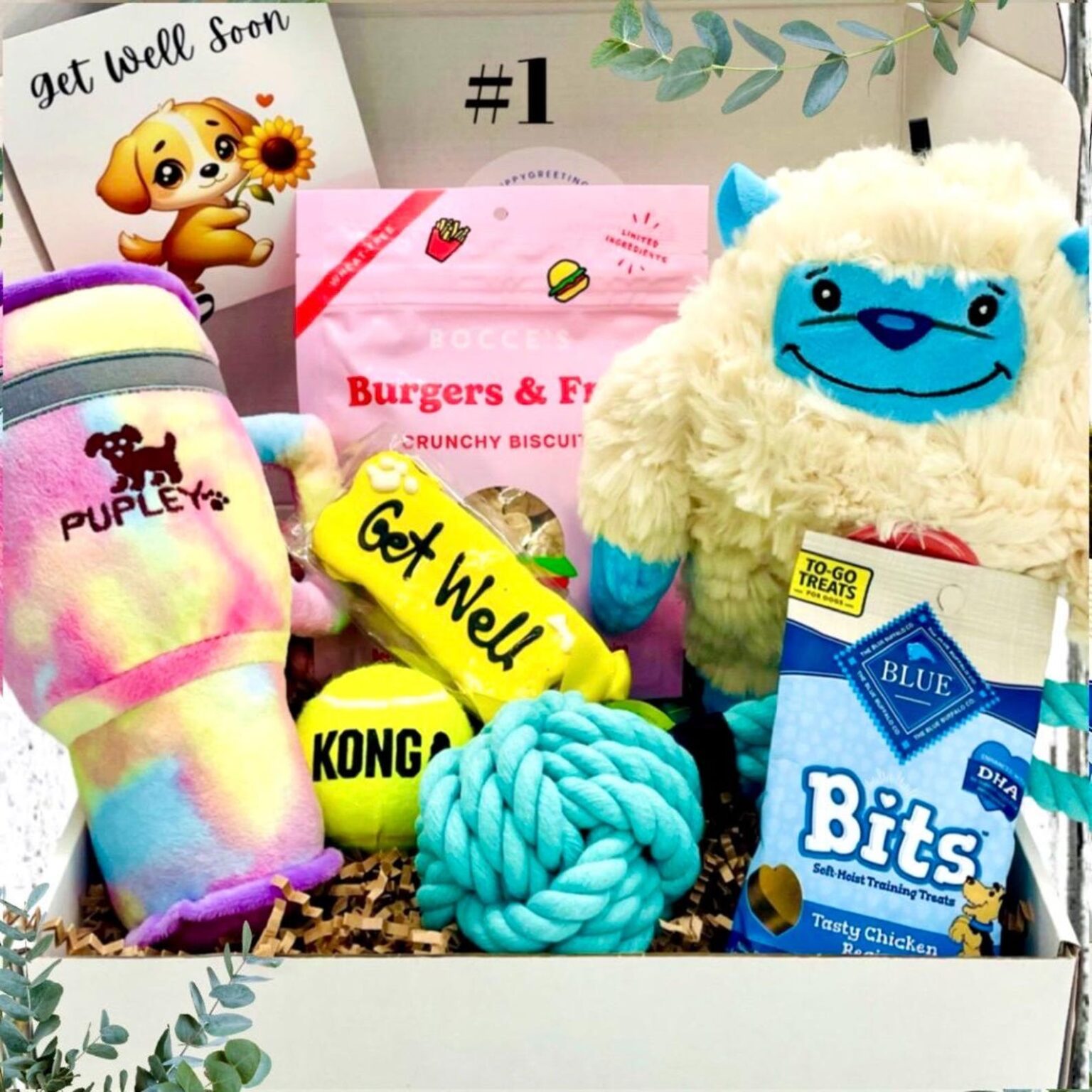 Get Well Dog Gift Baskets » Pampered Paw Gifts